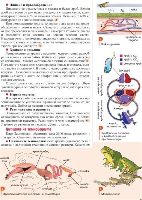 7 клас Биология и ЗО 24 04 2020г ОУ Отец Паисий Огняново