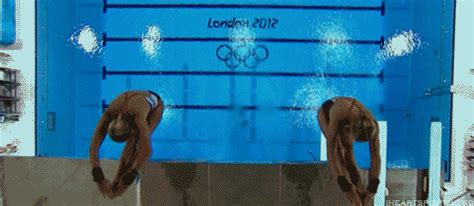Synchronised Diving S Find And Share On Giphy