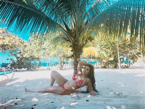 Viva Van Porn Pictures Xxx Photos Sex Images 4001098 Pictoa