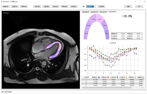 深度学习心脏功能 心肌应力分析 医学人工智能爱好者