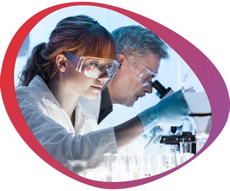 Glp And Gcp Compliant Cro Tissue Based Analysis Histologix
