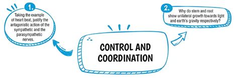 Control And Coordination Important Questions For Cbse Class 10 Science Chapter 6