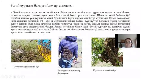 3 р хичээл ЗӨГИЙН БҮЛИЙН ХАВРААС ЗУНД ШИЛЖИХ ҮЕИЙН АРЧИЛГАА МАЛЛАГАА 1 Youtube