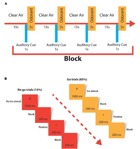 Figure 2 From Continuous Theta Burst Stimulation Over The Right