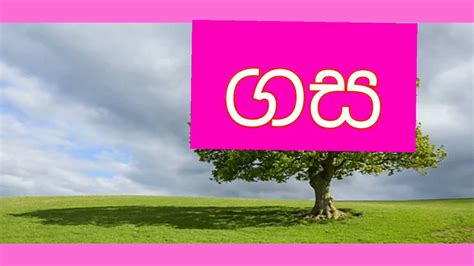 ග අකුරෙන් වචන 1 2 වසර Youtube