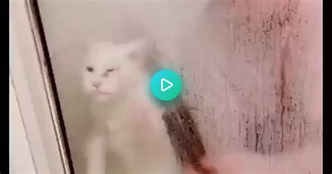 I Cannot Help You Album On Imgur