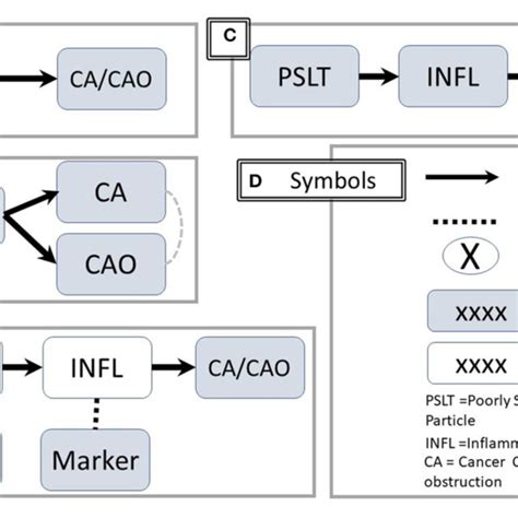 Directed Acyclic Graph Dag Representations The Figure Illustrates Download Scientific