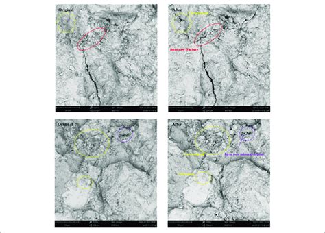 Effect Of Supercritical Co 2 On Microstructure Download Scientific Diagram