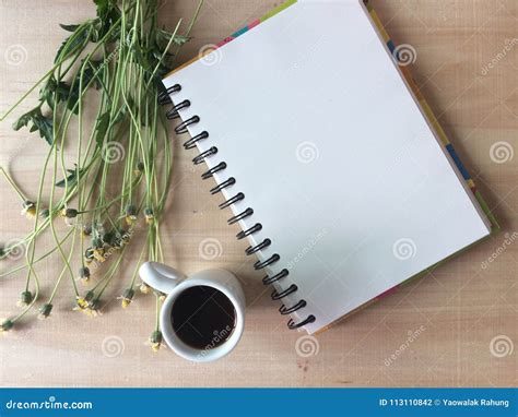 Blank notbook stock photo. Image of copyspace, notpad - 113110842