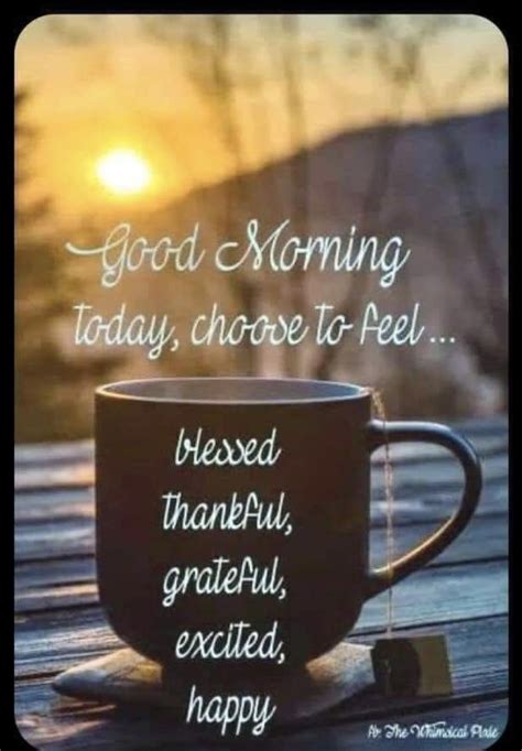 Christie Herms On Linkedin Happy Sunday May Your Work Week Ahead Bring You Success Happiness And…