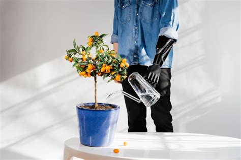 Components Of A Bionic Arm Prosthesis Aether Biomedical