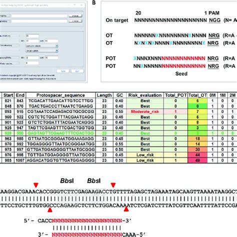 Sgrna Design Using The Sgrnacas9 Software A Operation Interface Of Download Scientific