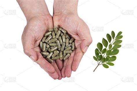 辣木属的鉴定 辣木叶和胶囊在男性手中