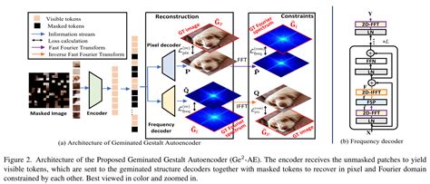Mask Autoencoder 各类变体 知乎