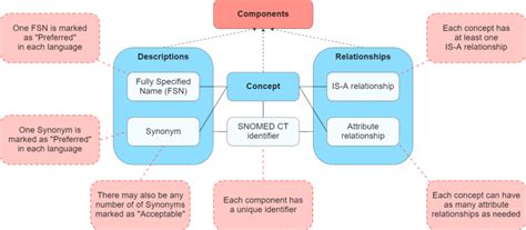 What Is Snomed Ct An Introduction