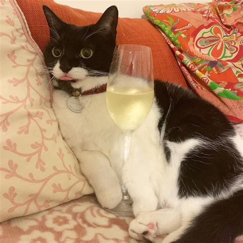 Class Class Class Scrolller