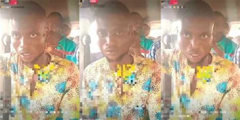 Netizens React As Danfo Driver Goes Live On Tiktok While Transporting Passengers Torizone