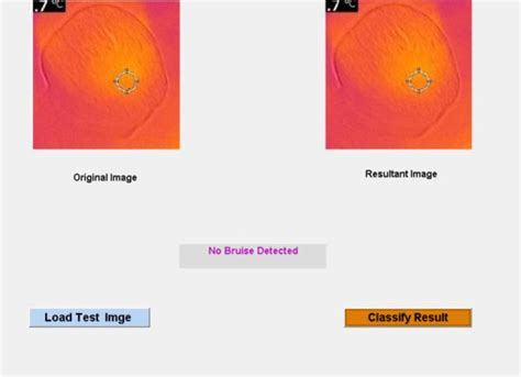 Figure 2 From Real Time Automatic Bruise Detection In Apple Fruits Using Thermal Camera