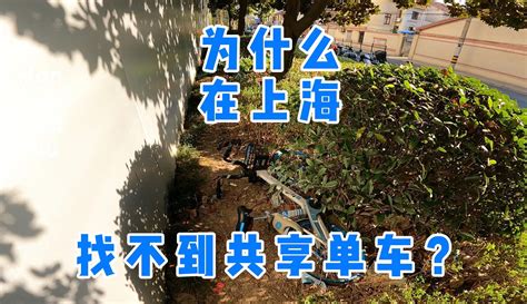 为什么在上海很难找到共享单车上海哈啰运维解救被私占的共享单车 哈博追车 哈博追车 哔哩哔哩视频