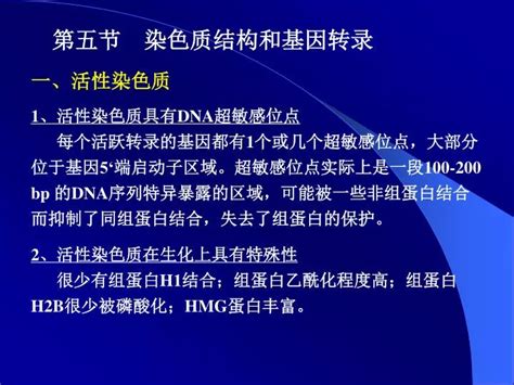 Ppt 第五节 染色质结构和基因转录 Powerpoint Presentation Id 6981598