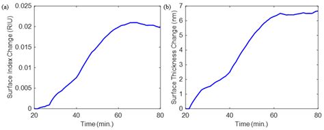 Multiparametric Guided Mode Resonance Biosensor Monitoring Bulk And