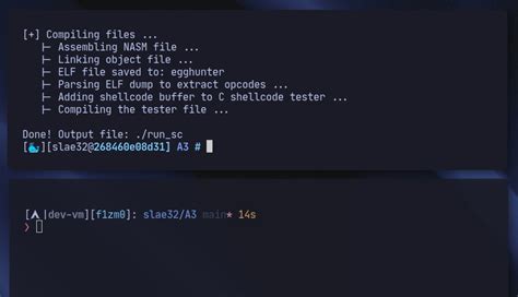 Slae32 Egghunter Shellcode Fzmooo— Pentester And Red Teamer By Day Security Researcher And
