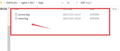 Nginx Error Createfile Dnginx 1201logsnginxpid Failed 2