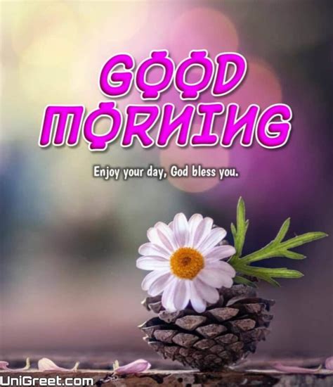 Incredible Collection Of Top 999 Hd Good Morning Images With Flowers