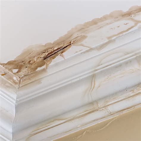 Water Leak Detective Oxfordshire The Leak Detective