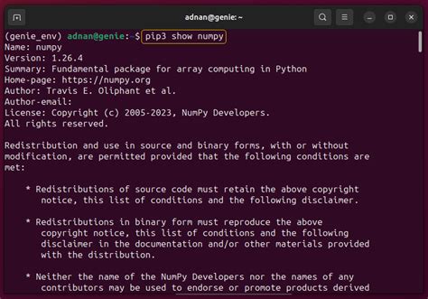 How To Install PIP On Ubuntu Linux Genie