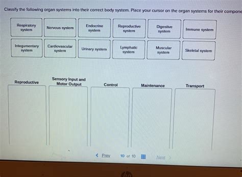 Classify The Following Organ Systems Into Their