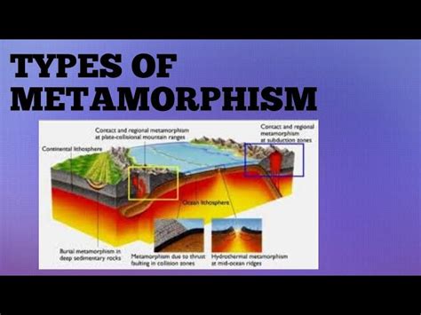 Dynamic Metamorphism Dynamic Metamorphism