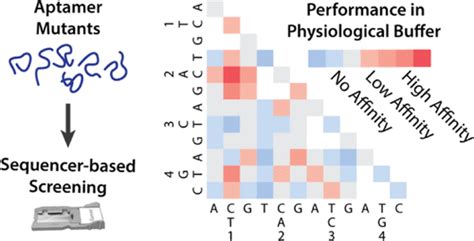 High Throughput Strategy For Enhancing Aptamer Performance Across Different Environmental