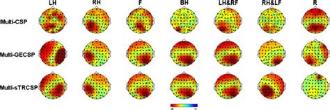 The Spatial Patterns Obtained With Different Multi Class Csp Algorithms