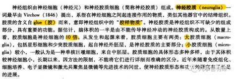 【赞】既熟悉又陌生的神经解剖术语 脑医汇