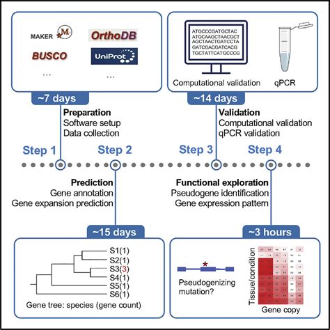 Cell Press Star Protocols