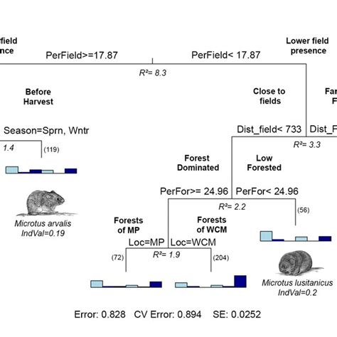 Multivariate Regression Tree Defining Normalized Biomass Of Rodent Download Scientific Diagram