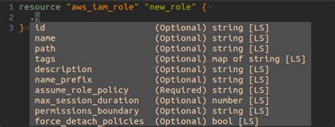 Integrate Terraform Language Server Protocol With Vim Braybaut