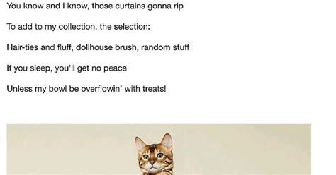 I Have Been Writing Kit Hop At Work Album On Imgur