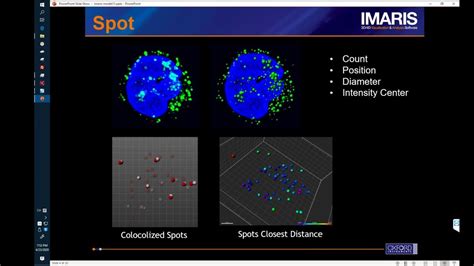 【imaris教学】如何选择合适的imaris模块进行数据分析 哔哩哔哩