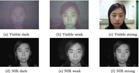 a to c are visible images and d to f are the corresponding nir