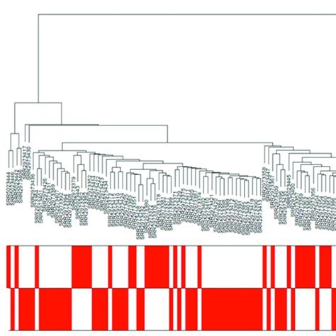 Clustering Dendrogram Of 94 Samples Download Scientific Diagram
