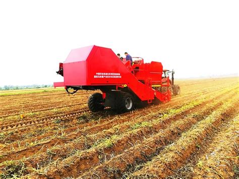 中国农机院收获神器为薯类产业发展提供技术装备支撑 农机新闻网