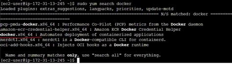 How To Install Docker On Amazon Linux 2 Instance Cloudkatha