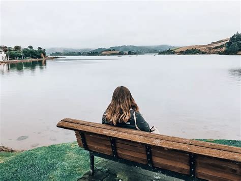 What To Do In Dunedin For 48 Hours Trendy Tourist