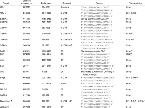 Synthesis Of Cdna Probes For Northern Blot Hybridization Download Table