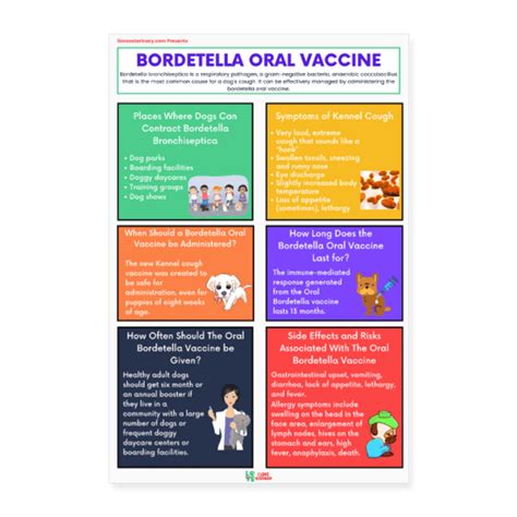 Bordetella Oral Vaccine Poster I Love Veterinary