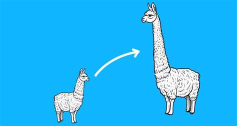 Datascience Chatgpt Llm Donato Riccio