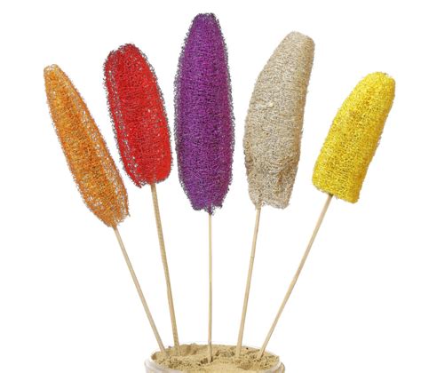 Color Universal Inter Color