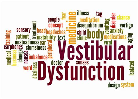 Vestibular System Function And Dysfunction Dr Kim Bell Dpt